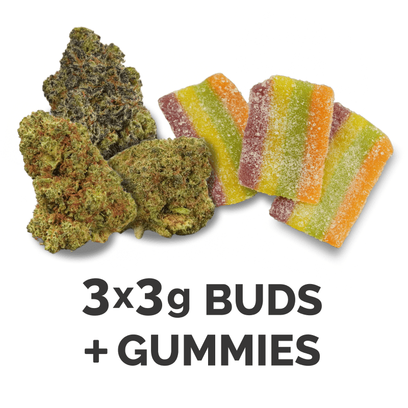 Bud & Gummies Test Pack | YourKush.cz